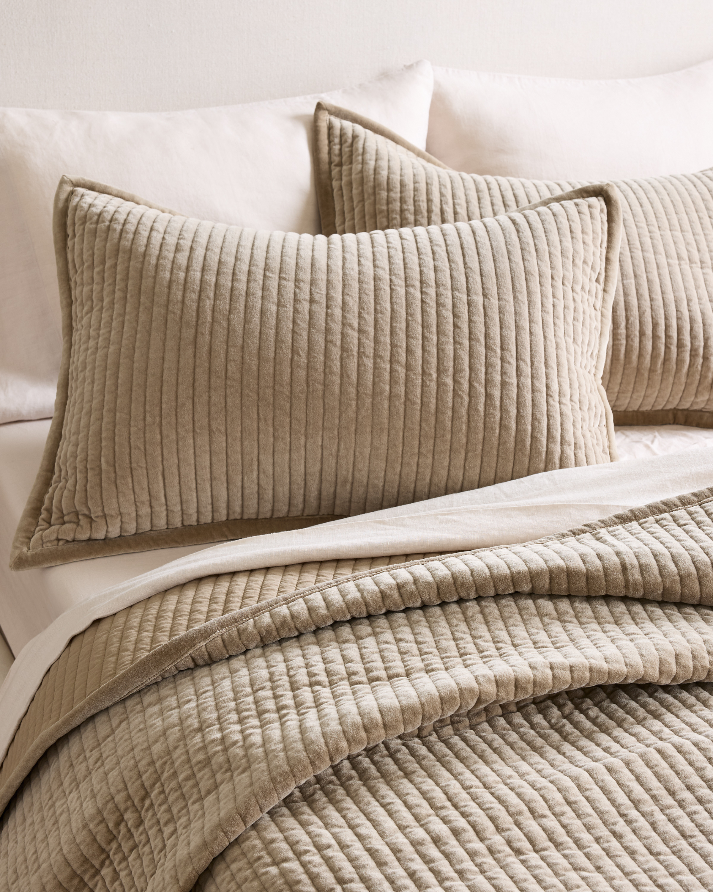 Cotton Velvet Channel Quilted Sham Set - Quince